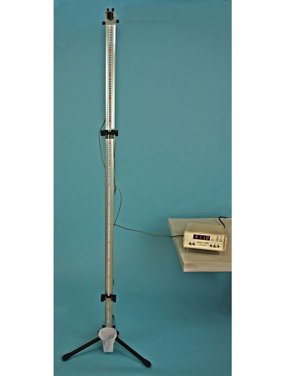 Free Fall Physics Lab