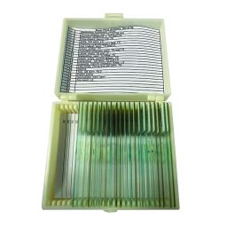 Basic Plant Anatomy Slide Set of 20